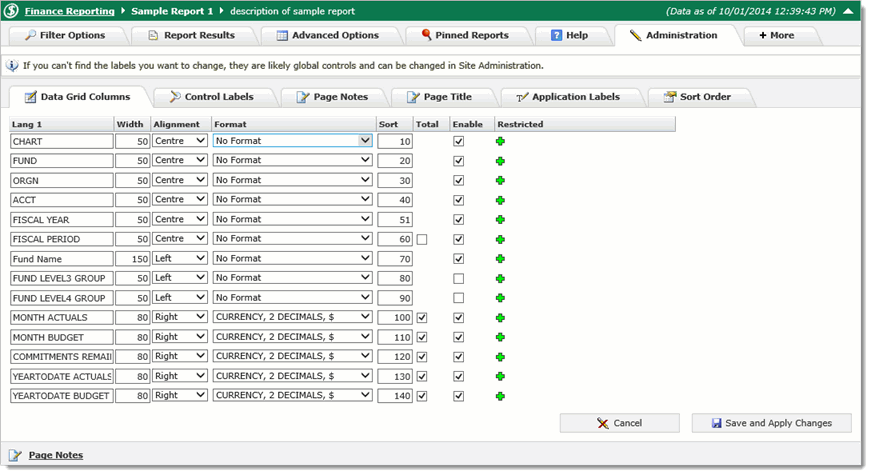 Setting up Data Grid Columns on a Custom Reporting Page