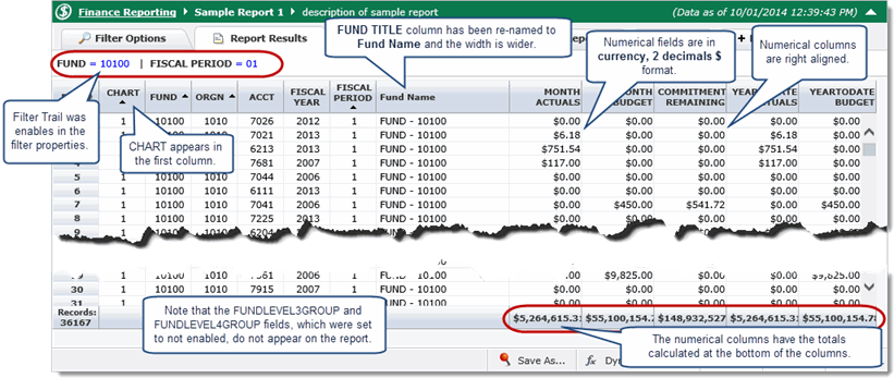 Setting up Data Grid Columns on a Custom Reporting Page